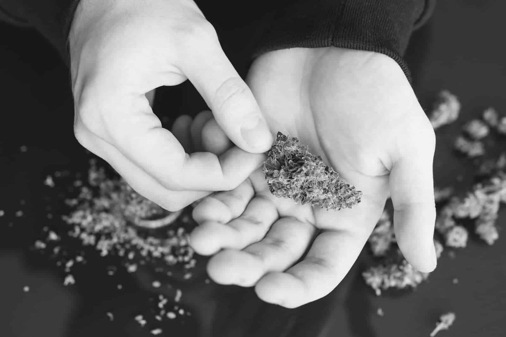 Marijuana Seeds and Strains for Cancer | Crop King Seeds