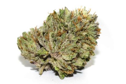 Rockstar Weed: Information and Growing Guide | Crop King Seeds