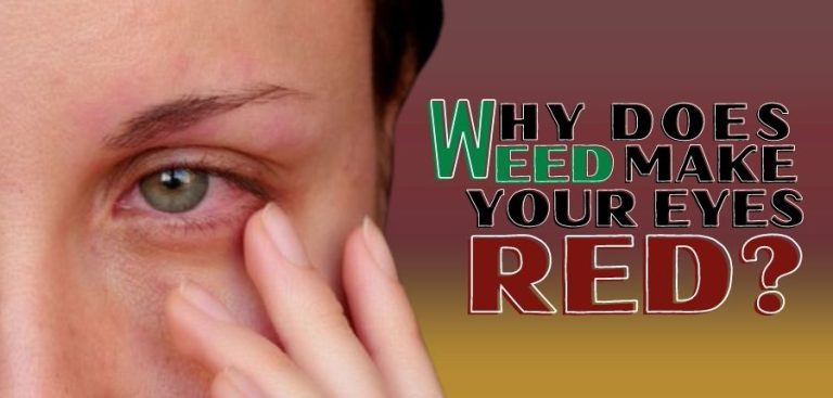 Why Does Weed Make Your Eyes Red | Crop King Seeds