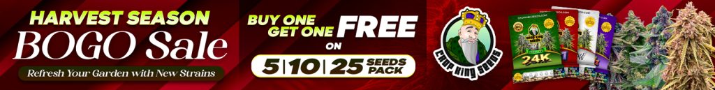 Leaf It to Weed: An Easy Guide to the Leaves of Marijuana's Strains ...