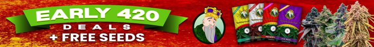 Buy Cannabis Seeds Online at Crop King Seeds