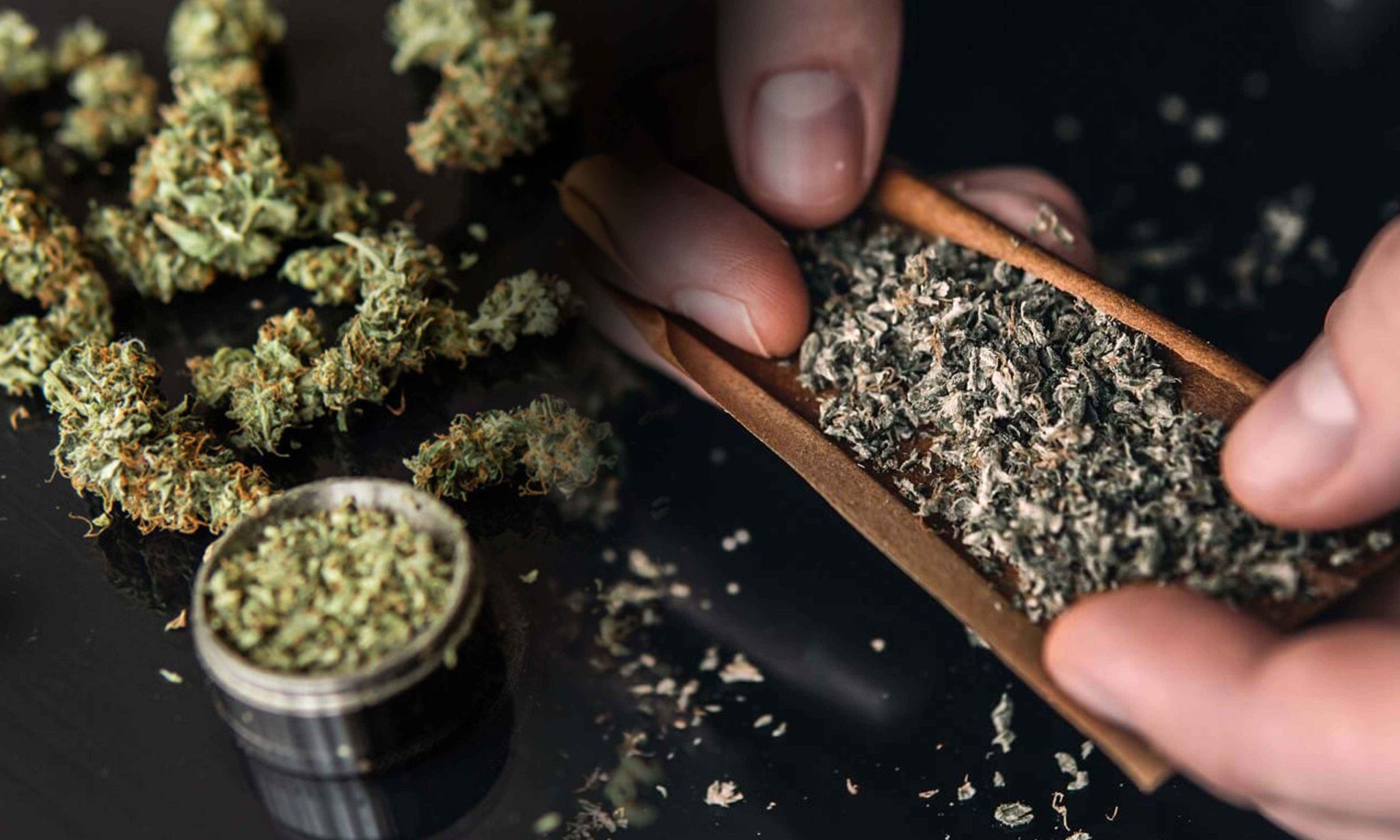 Mastering the Art of Rolling a Backwoods Joint | Crop King Seeds