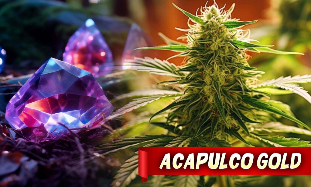 Rare Cannabis Strains: Unveiling Nature's Hidden Gems | Crop King Seeds