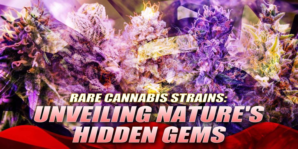Rare Cannabis Strains: Unveiling Nature's Hidden Gems | Crop King Seeds