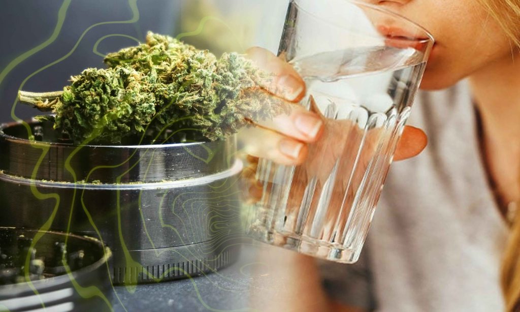 Why Do People Experience Twitching When They're High? | Crop King Seeds