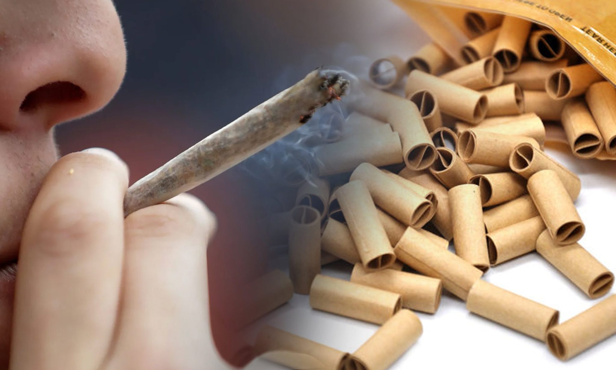 The Benefits of Filtering Your Joints for a Smoother Smoking Experience ...