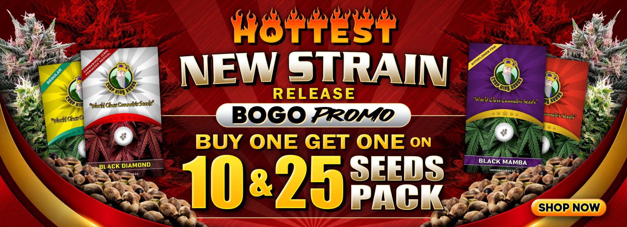 Buy Cannabis Seeds Online at Crop King Seeds