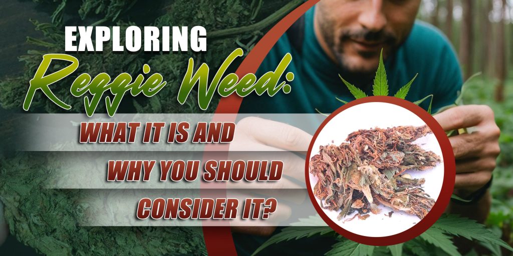 Exploring Reggie Weed: What It Is and Why You Should Consider It | Crop ...