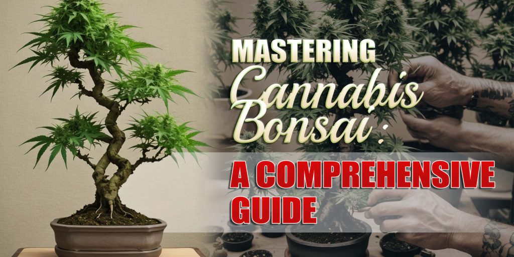 Mastering Cannabis Bonsai: A Comprehensive Guide | Crop King Seeds