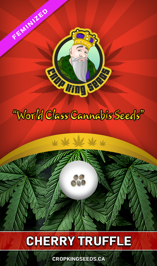 Cherry Truffle Strain Feminized Marijuana Seeds | Crop King Seeds Canada