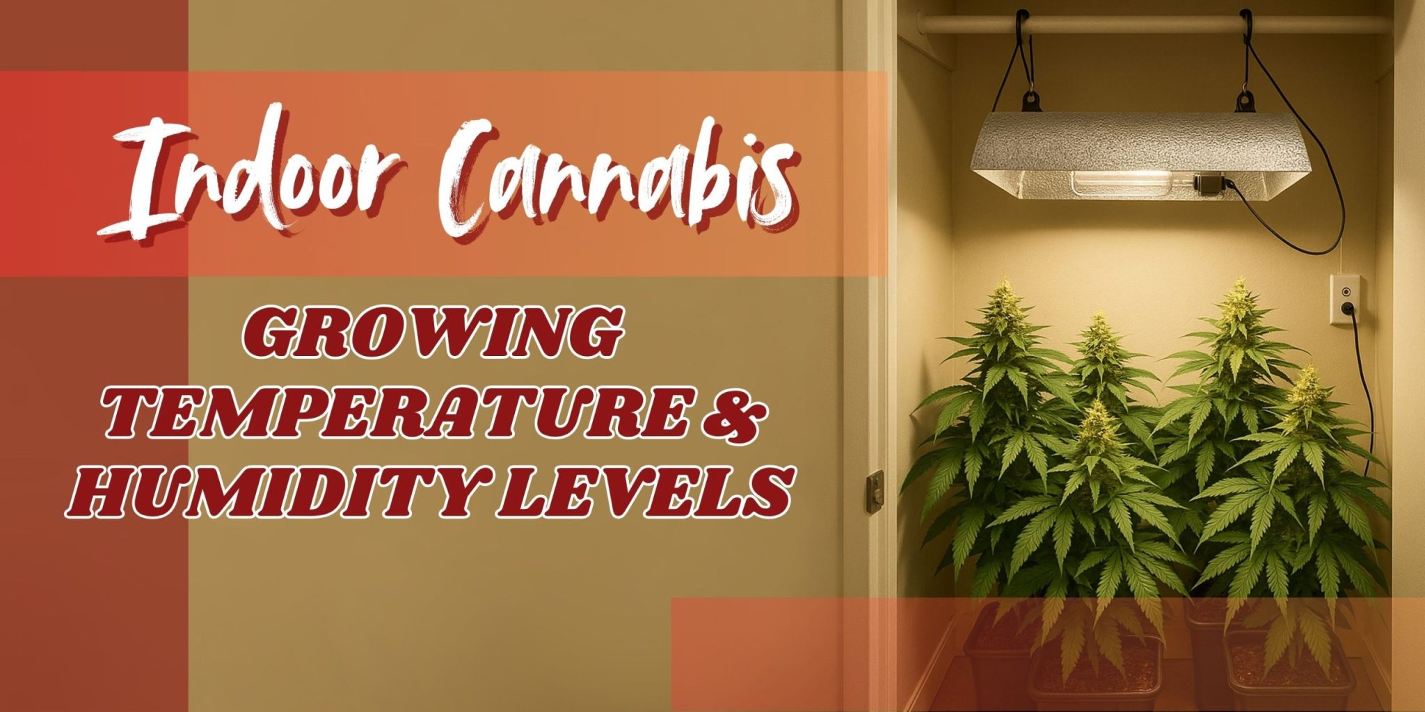 Indoor Cannabis Growing Temperature and Humidity Levels | Crop King ...