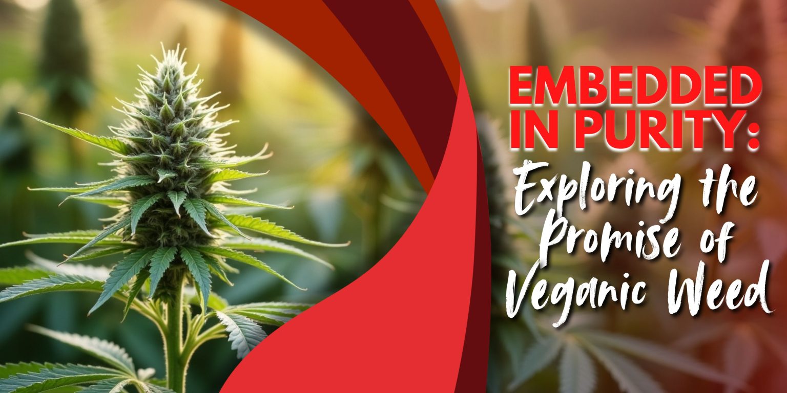 Embedded in Purity: Exploring the Promise of Veganic Weed | Crop King Seeds Canada